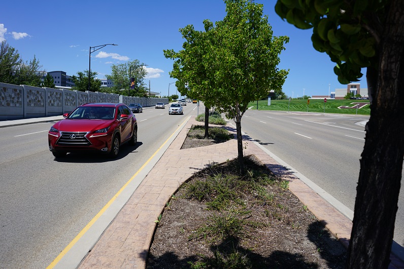 - Statewide Raised Median Toolkit